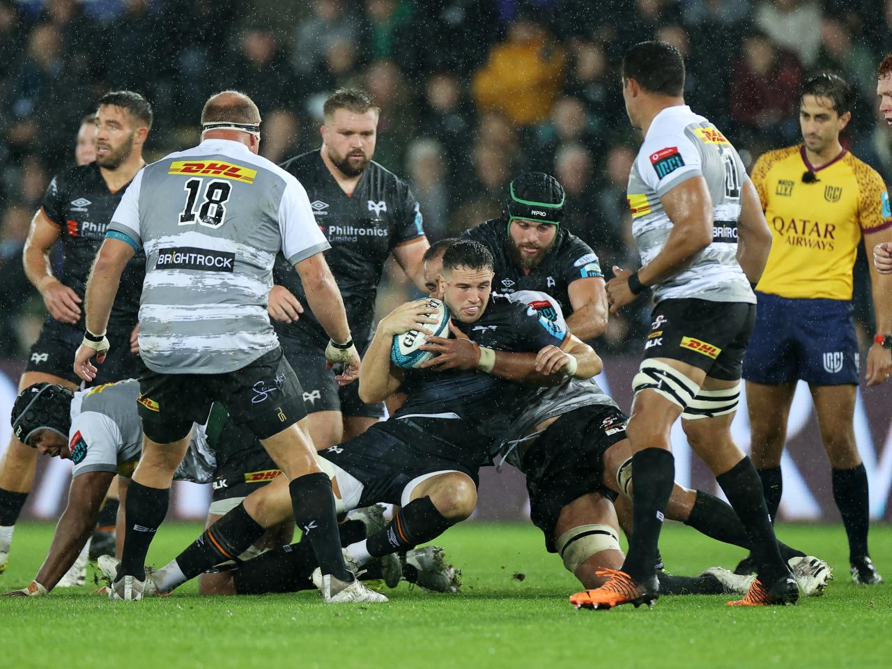 Related News | Ospreys