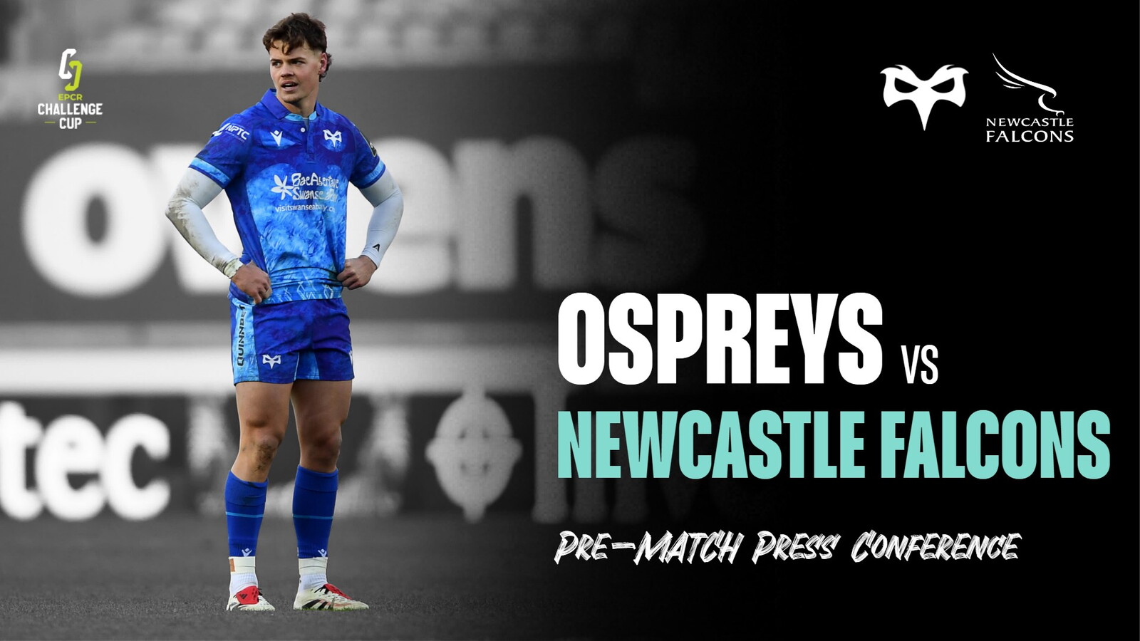 Pre-match Press Conference: Jack Walsh (Vs Newcastle Falcons) | Ospreys