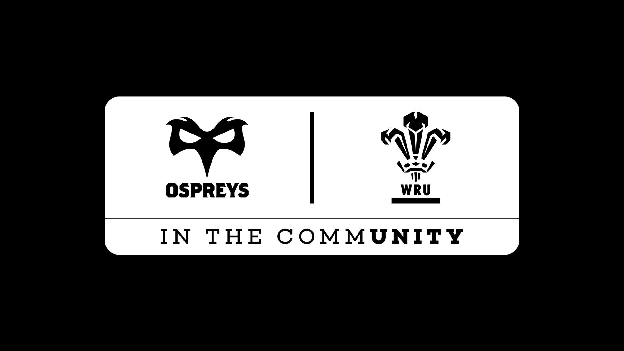 Ospreys in the Community | Ospreys