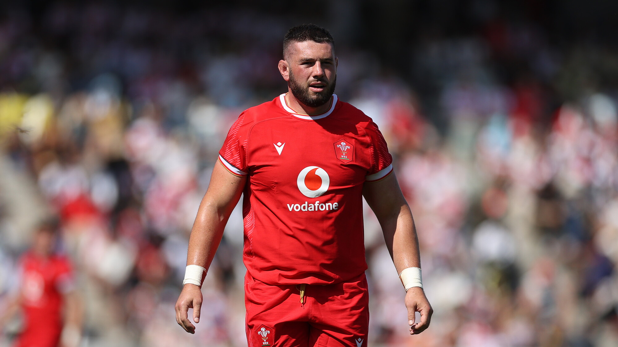 Ben Warren called up to Wales squad for Quilter Autumn Nations Series ...