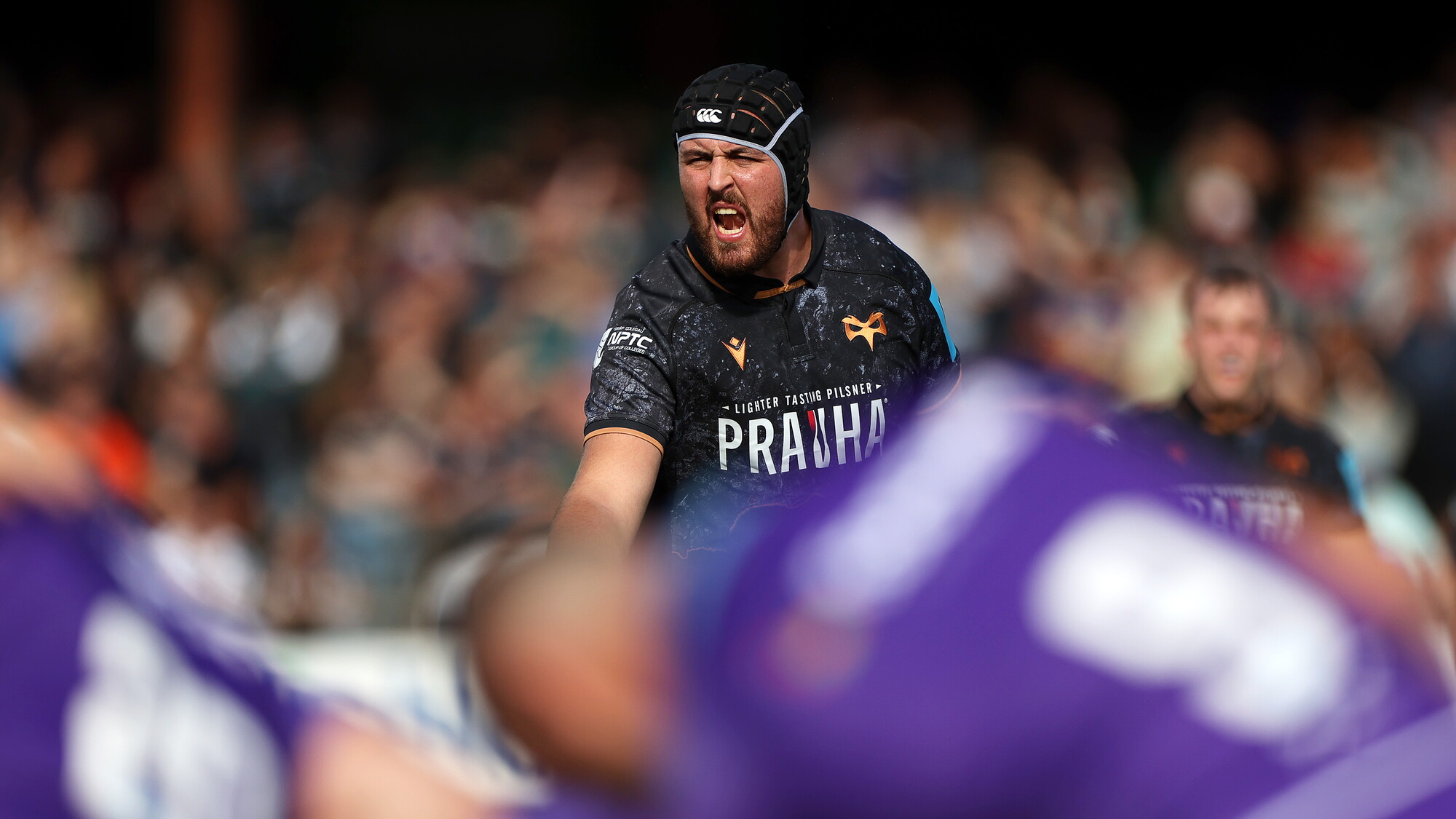 Ospreys announce new deal for Dan Edwards | Ospreys