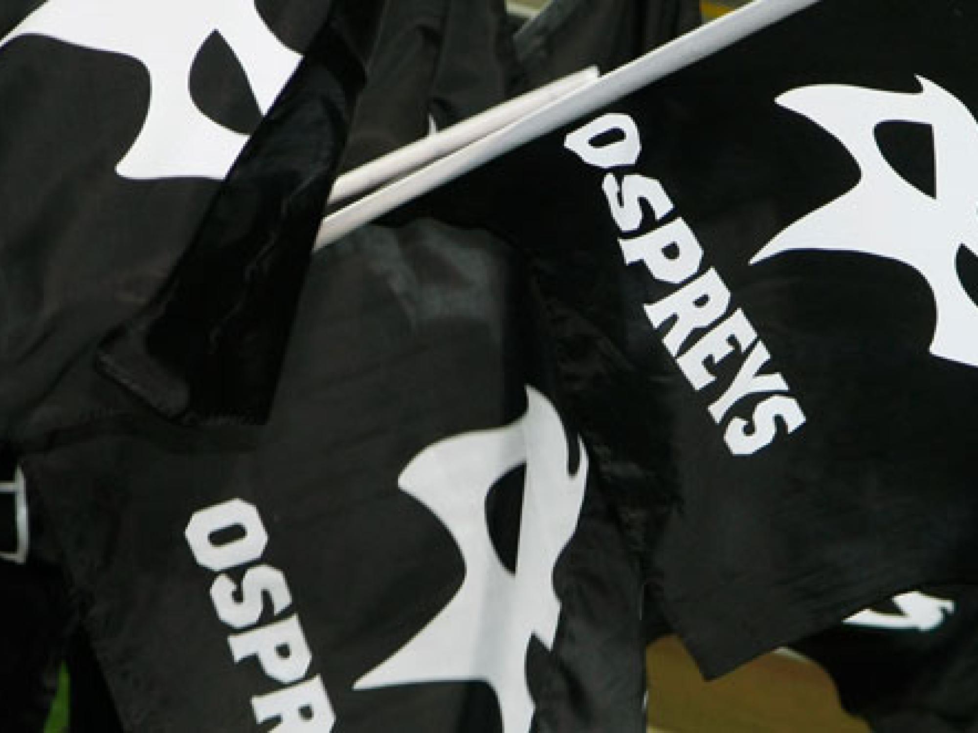 About Ospreys | Ospreys