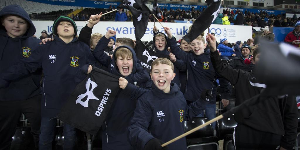 Next generation of Ospreys | Ospreys